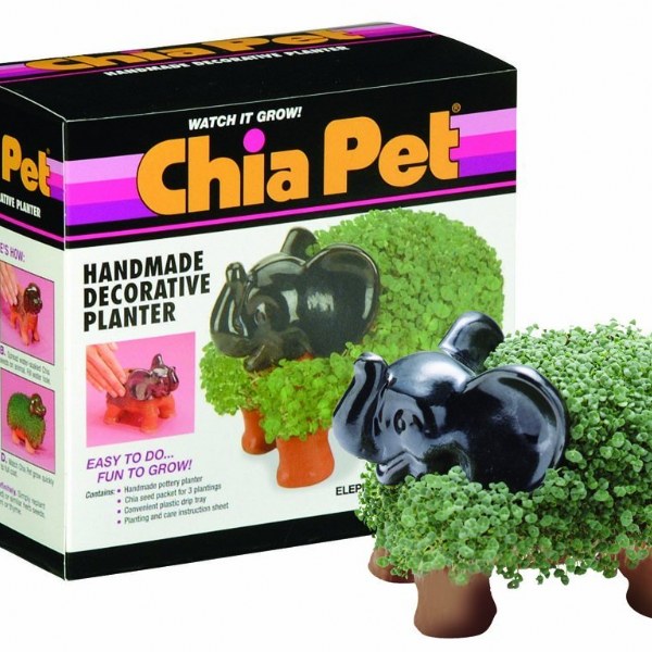 Chia Elephant | As Seen On TV