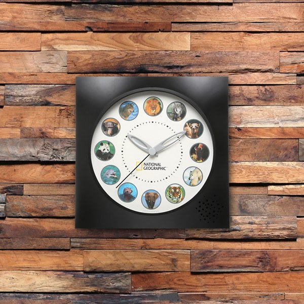 National Geographic Animal Wall Clock | As Seen On TV